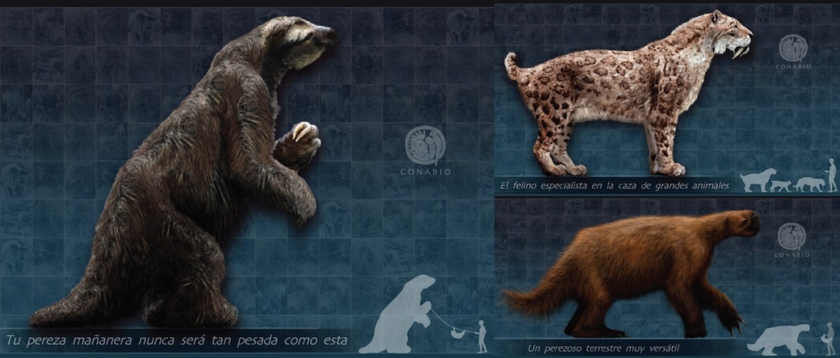 Bringing the Ice Age to life - Storybench