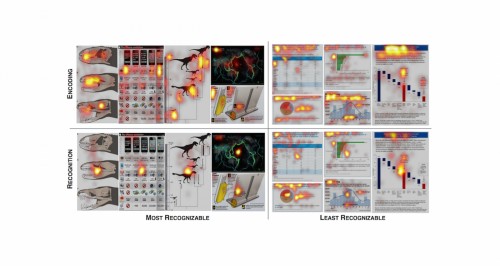 Understanding what makes a visualization memorable - Storybench