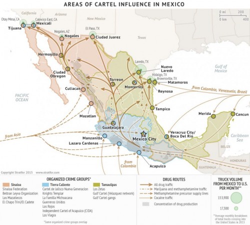 Mexican Drug Cartels, Drugs, and Homicide Rates