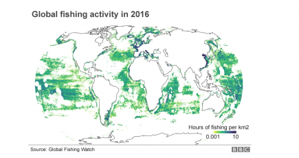 Six visualizations that explore the extent of overfishing around the ...