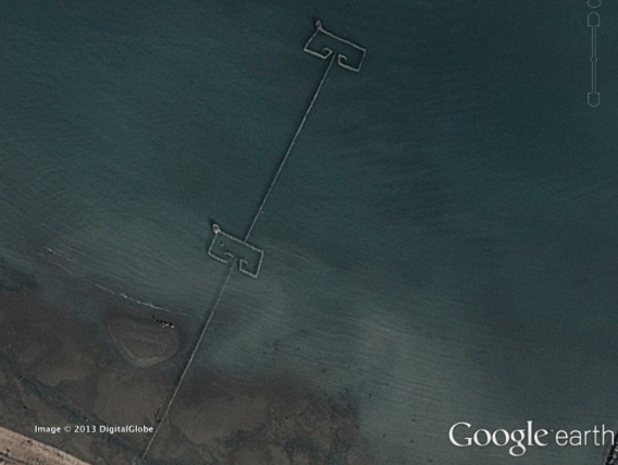 Six visualizations that explore the extent of overfishing around the ...