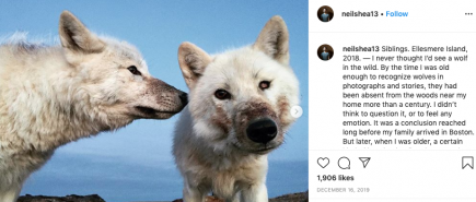 Telling stories on Instagram: A Q&A with Neil Shea - Storybench